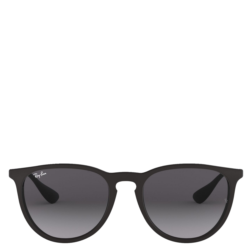 RAY-BAN Ray-Ban® Erika Solbriller